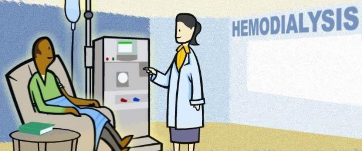 Hemodialysis HD The Virtual Nephrologist